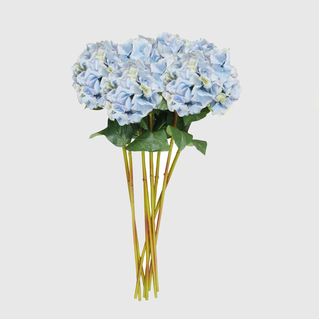 Hortensia Azul - Pratelli